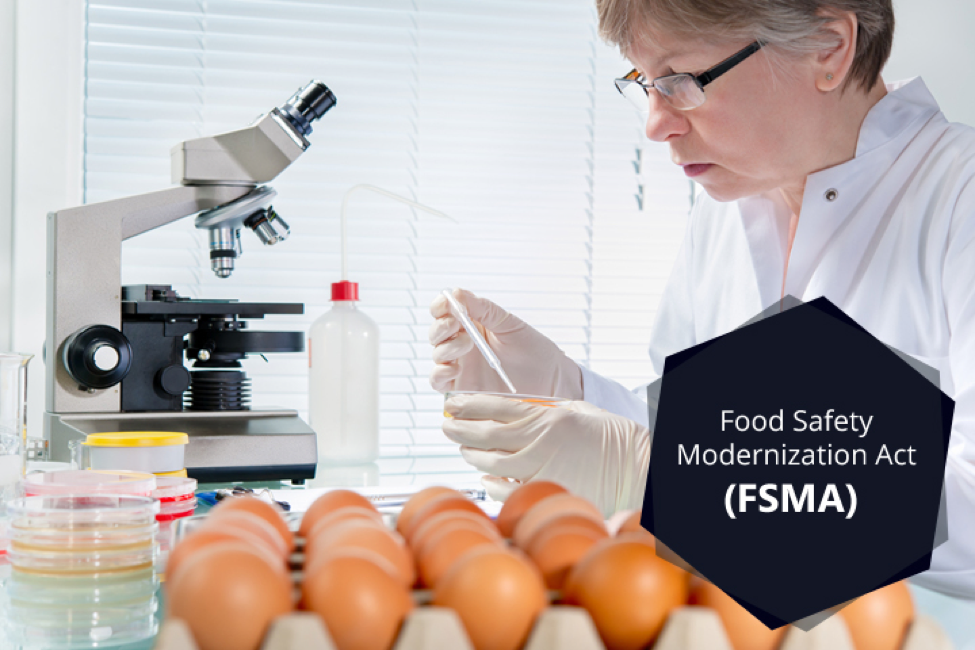 JustFood | Blog | New FSMA Rule on Adulteration: What You Need to Know